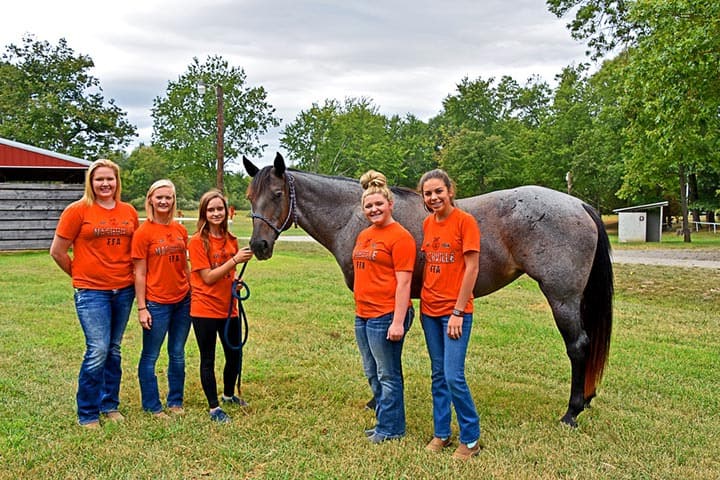 Nashville FFA Successful In Horse Judging Competitions – The Sentinel