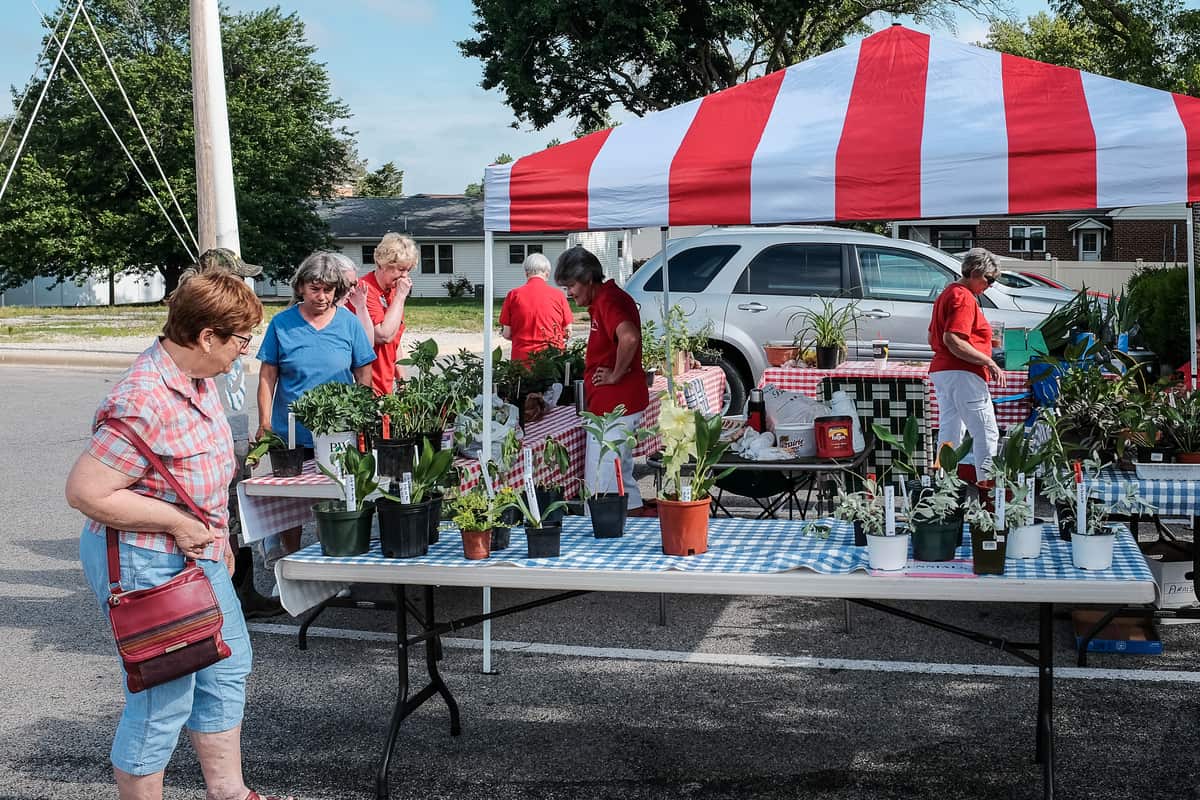Master Gardeners Hold Spring Plant Swap – The Sentinel