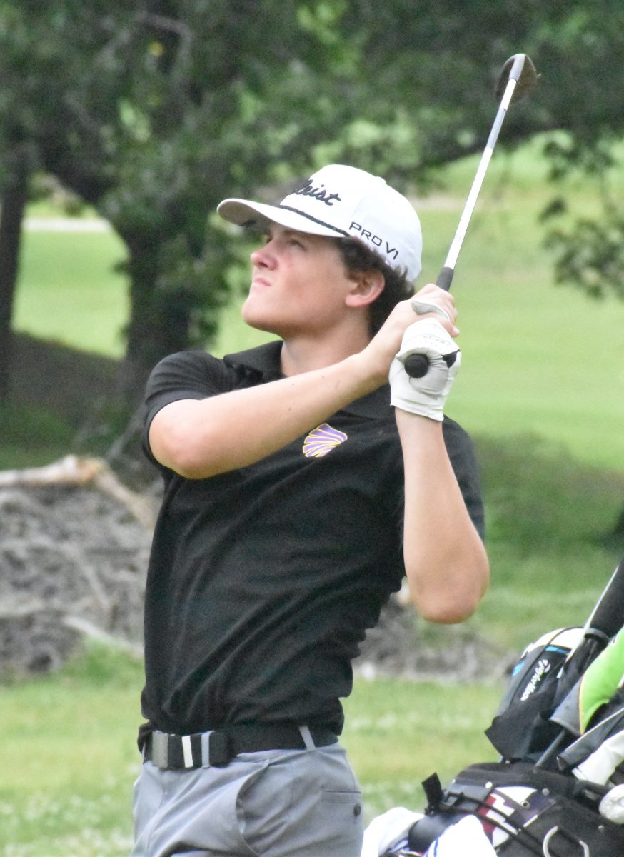 Six Clinton County golfers earn medals at SIJHSAA state meet – The Sentinel