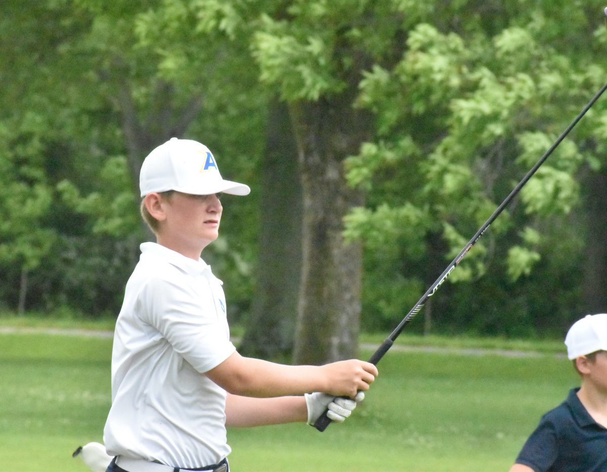 Six Clinton County golfers earn medals at SIJHSAA state meet – The Sentinel