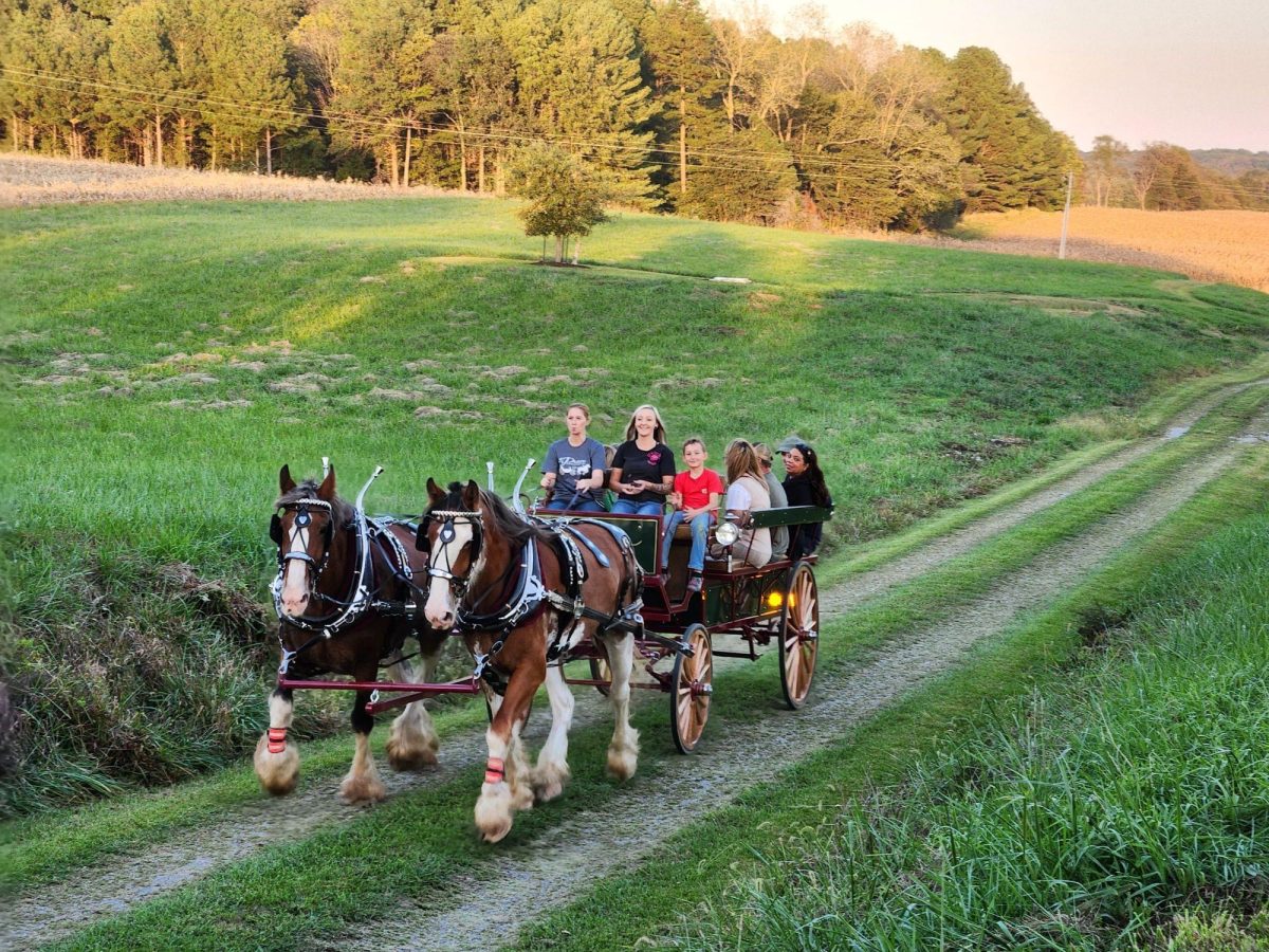 Prince Carriage Co. announces carriage rides – The Sentinel