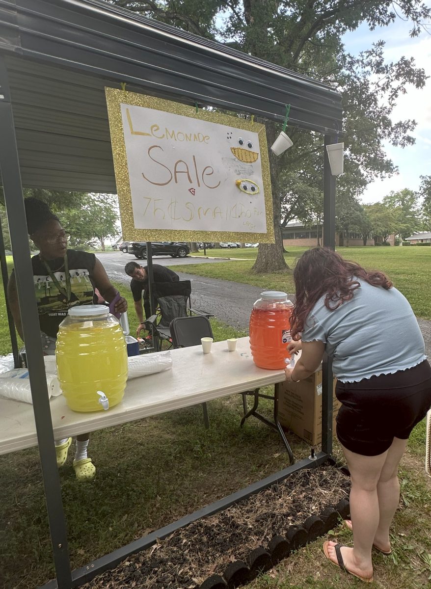 Spero youth hold lemonade stand fundraiser – The Sentinel