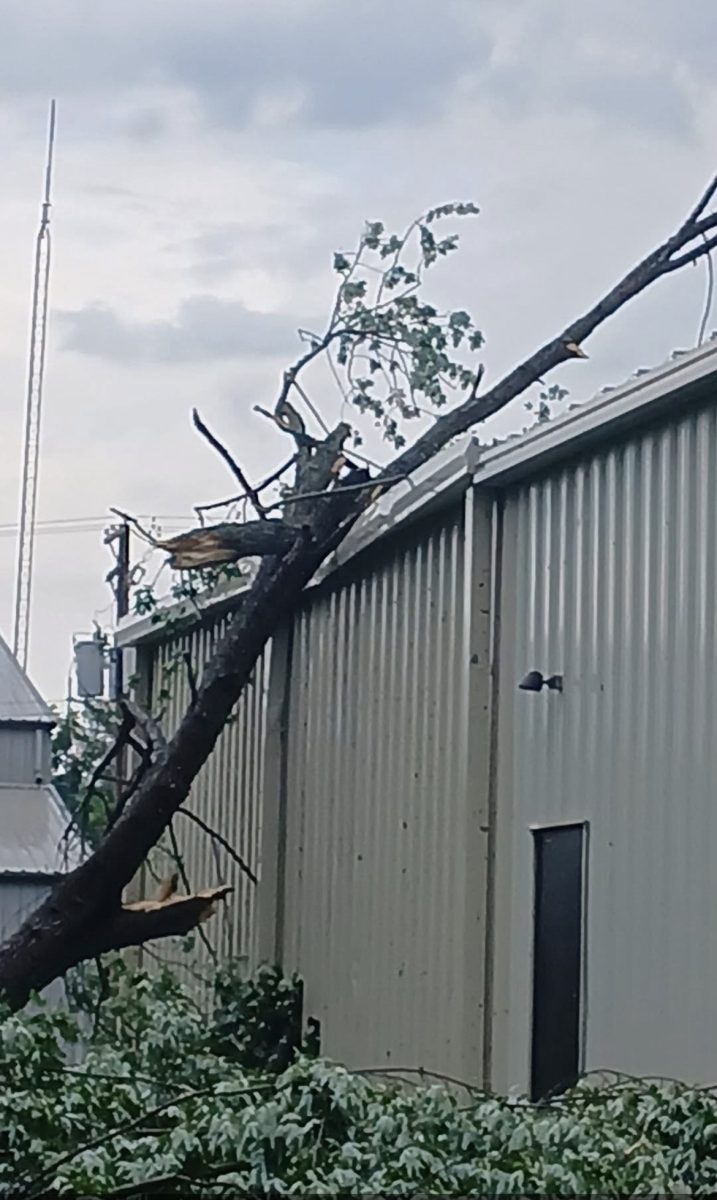 Saturday storm damage – The Sentinel