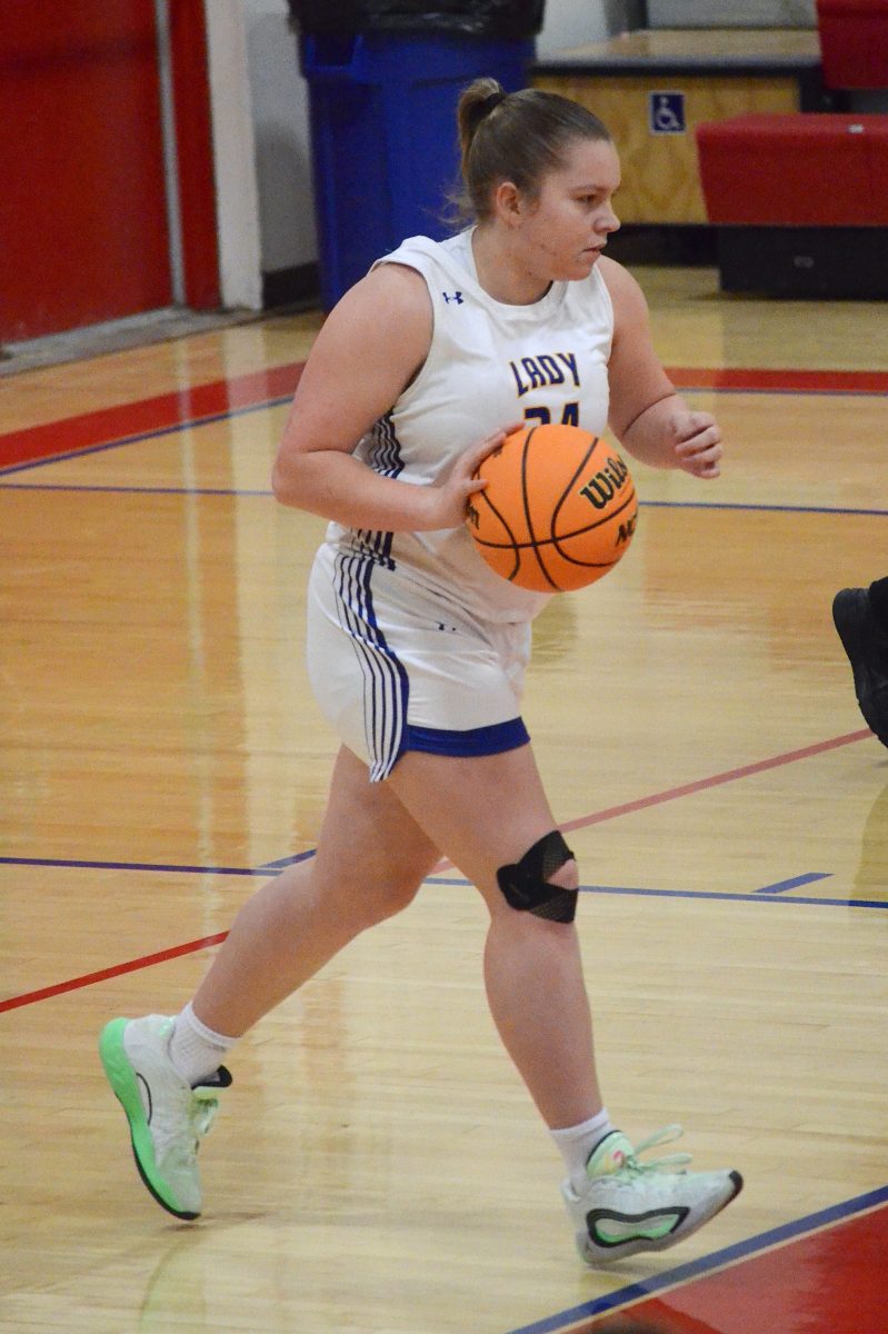 Webber holds off Wayne City in OT – The Sentinel